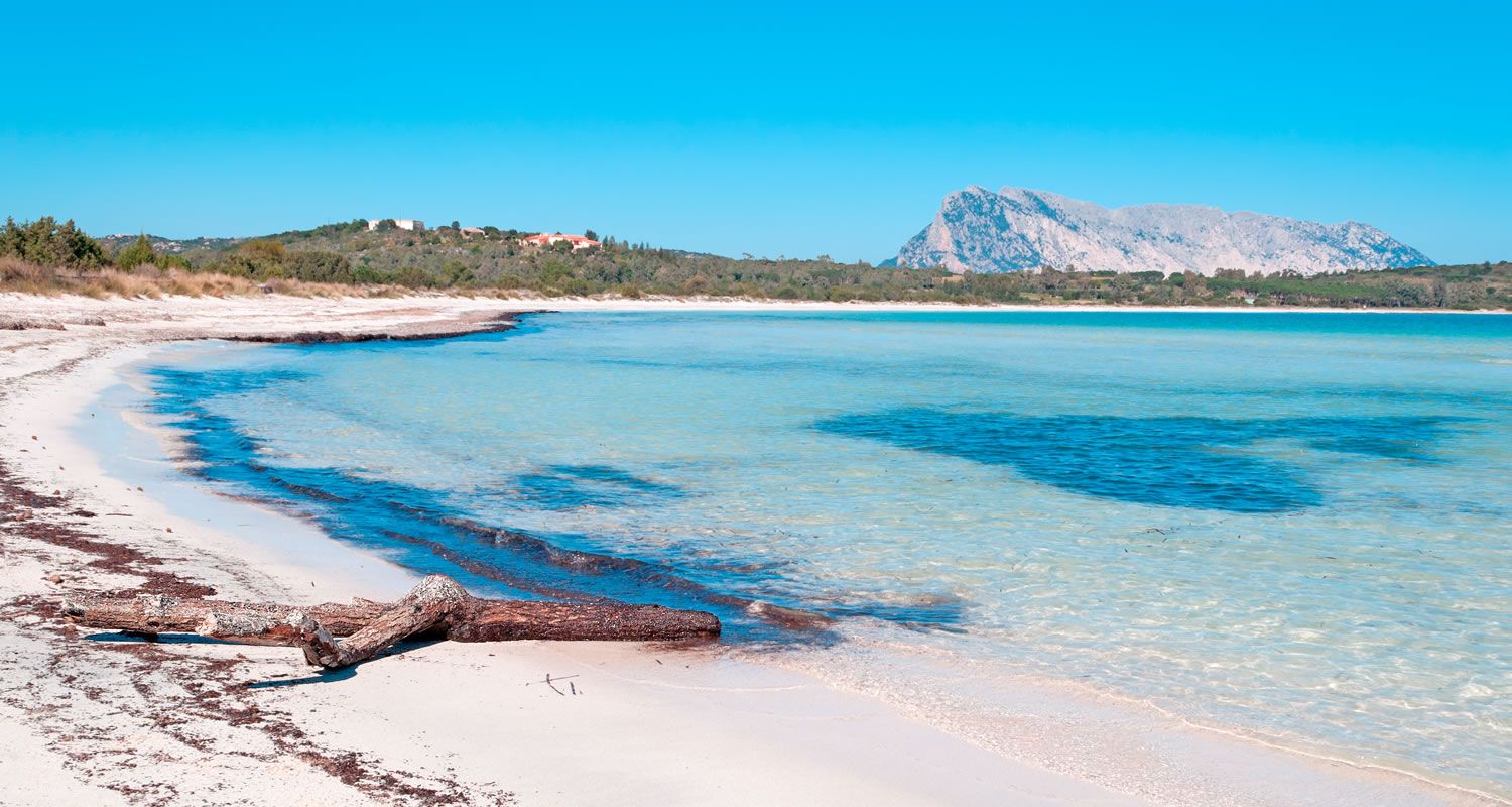 La guida definitiva alle vacanze a San Teodoro: tutto ciò che devi ...